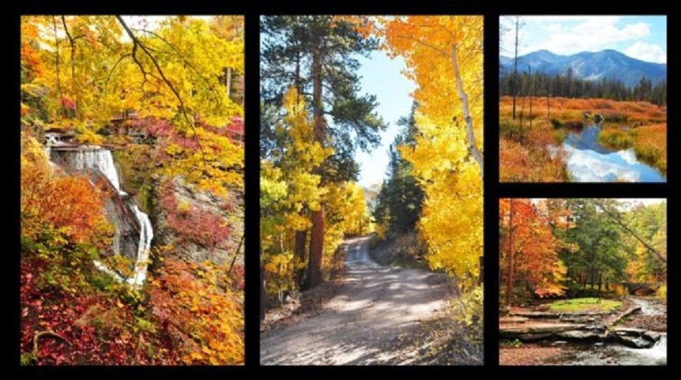 Fallscapes Panel by Red Rooster